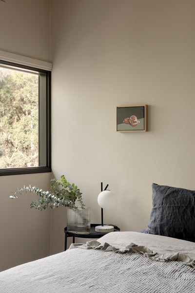 Wall Paint | Tint™ Australia