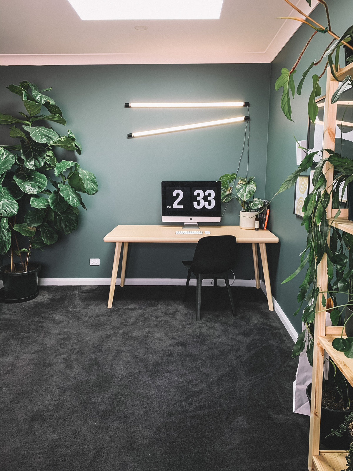 Jungle Look | Tint™ Australia