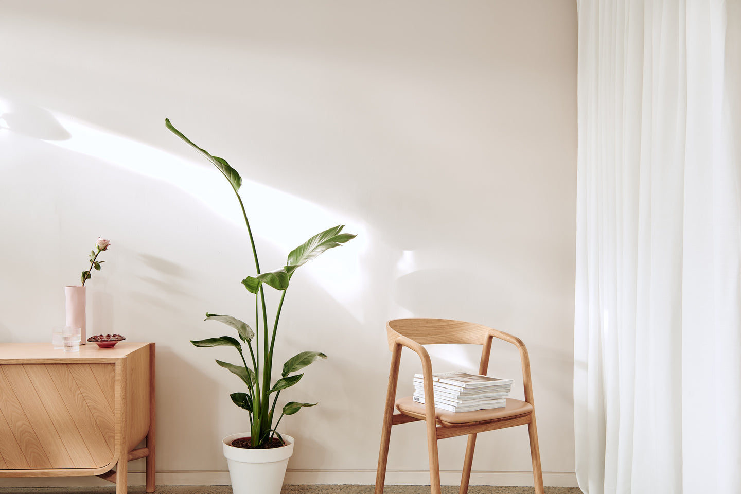 Wall Paint | Tint™ Australia